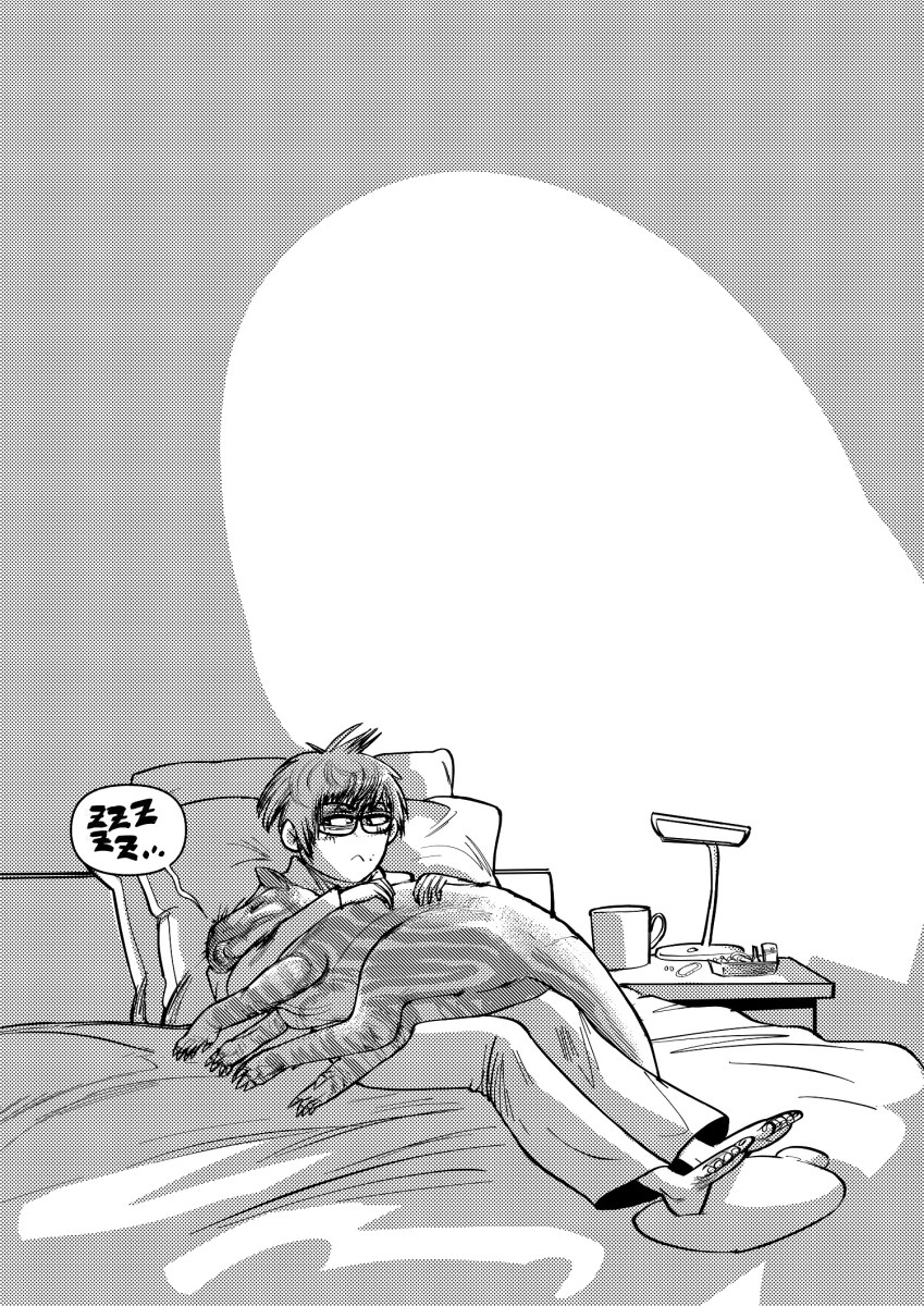 Triassic Field – Bed – Irish Comics